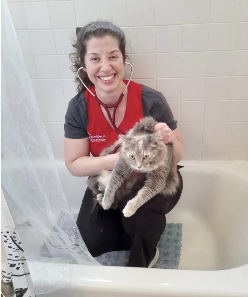 Patient Photos - Vet at Home