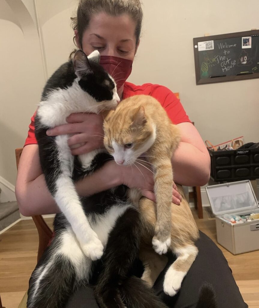 Patient Photos - Vet at Home